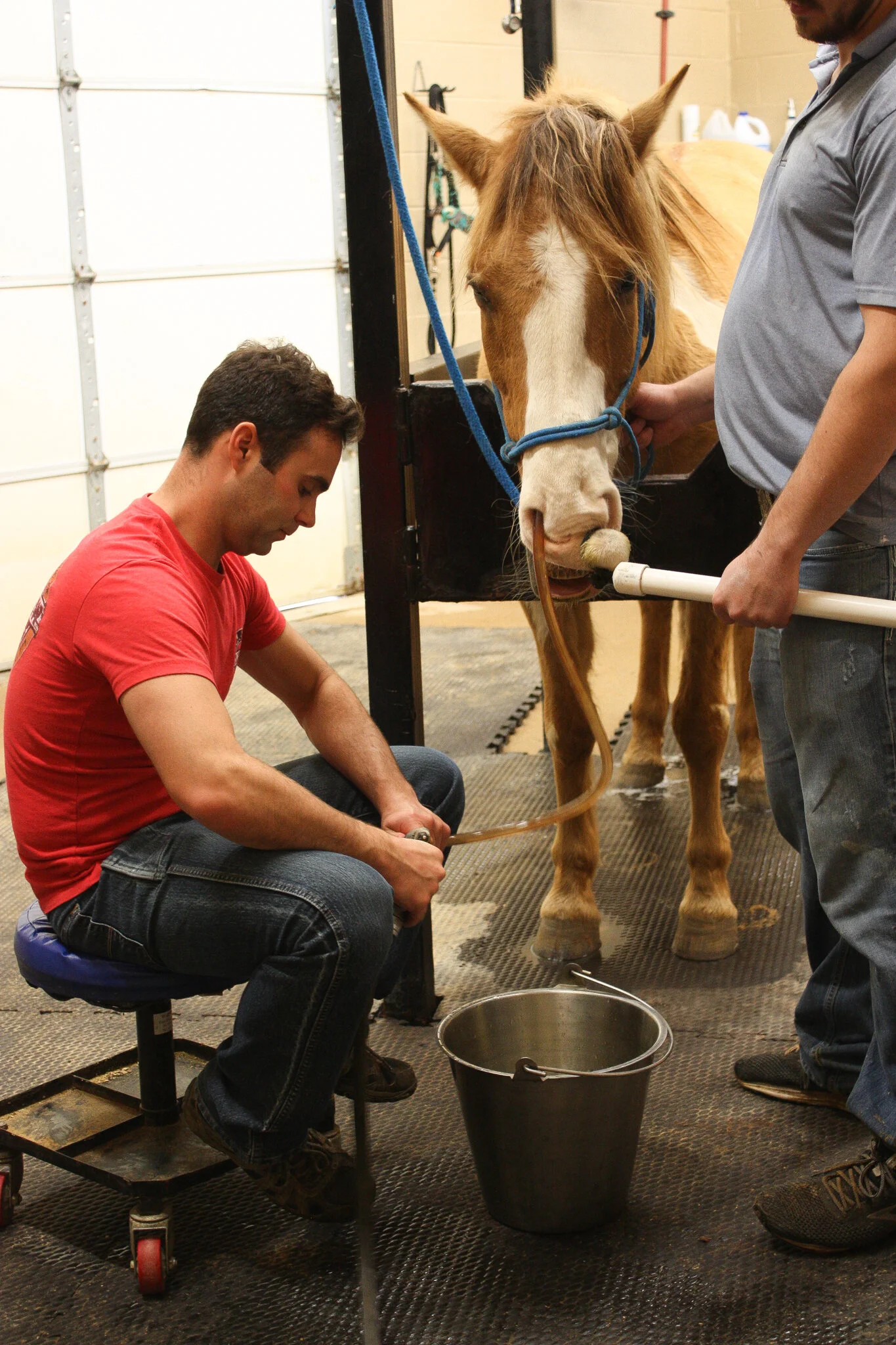 Equine Vet Clinic — Outlaw Equine Hospital Rehab & Center