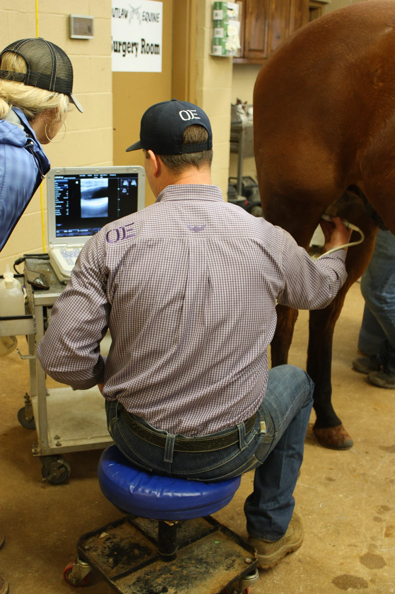 Equine Vet Clinic — Outlaw Equine Hospital Rehab & Center