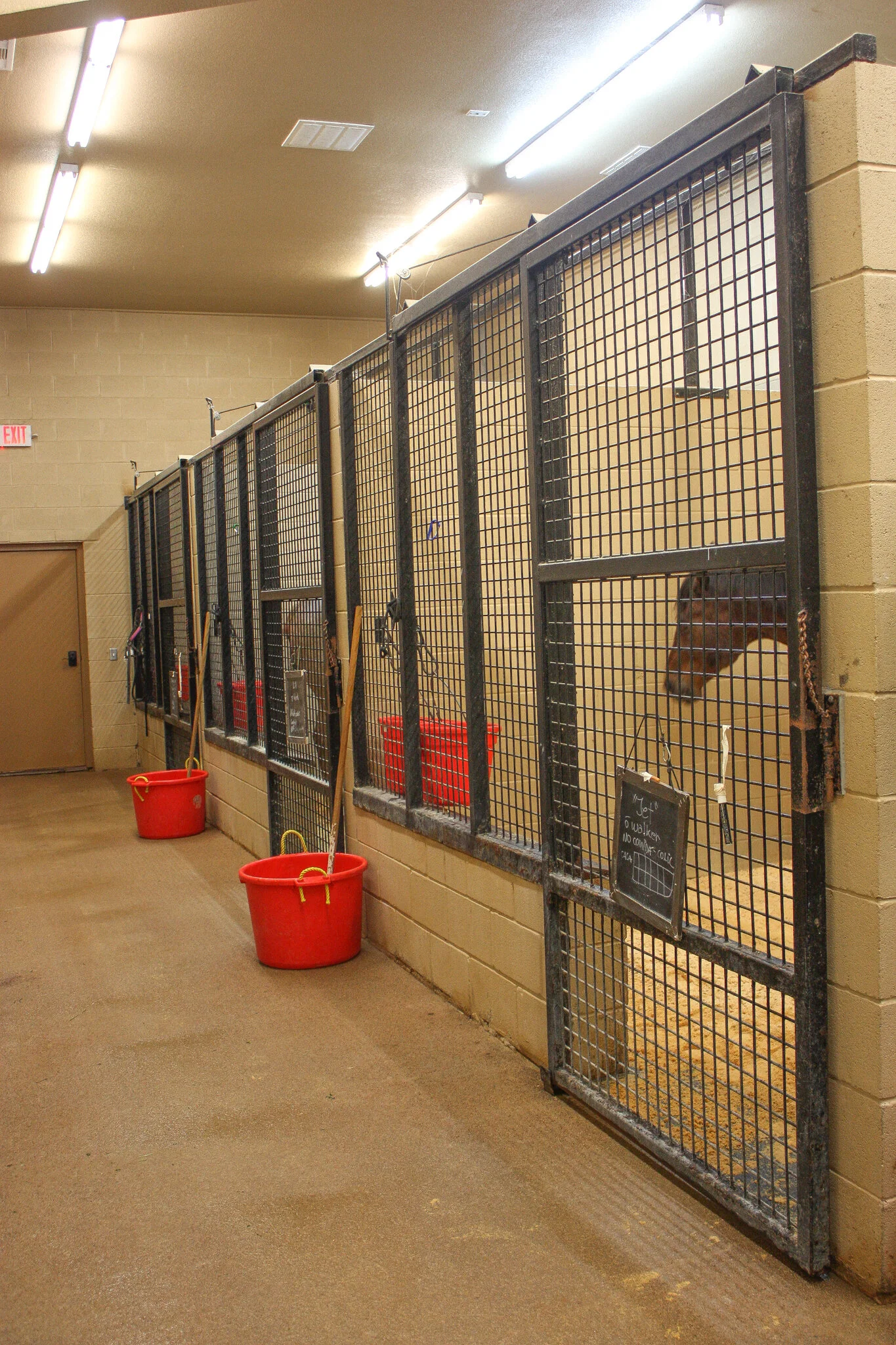 Equine Vet Clinic — Outlaw Equine Hospital Rehab & Center