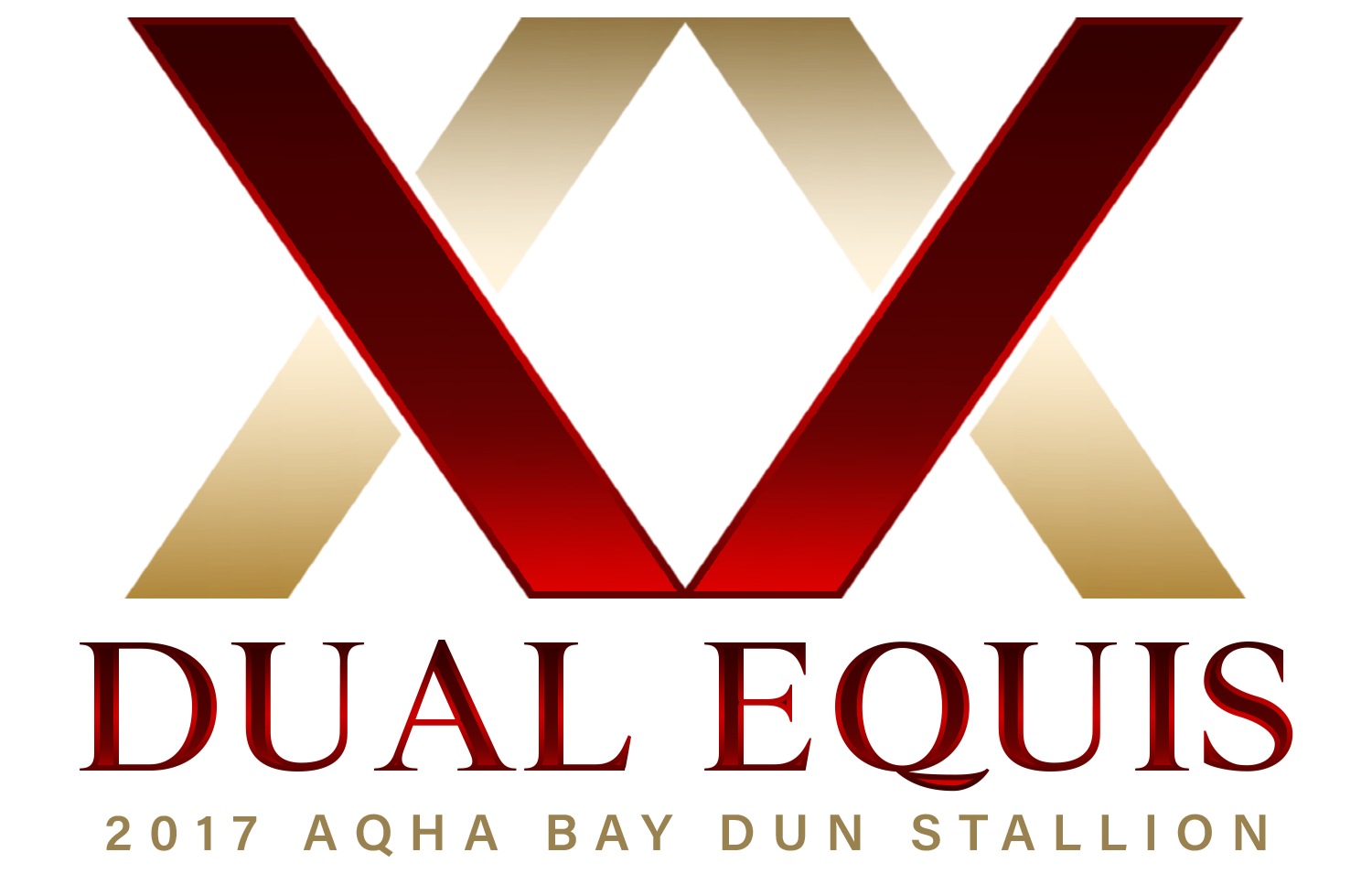 Dual Equis Stallion — Outlaw Equine Hospital Rehab & Center