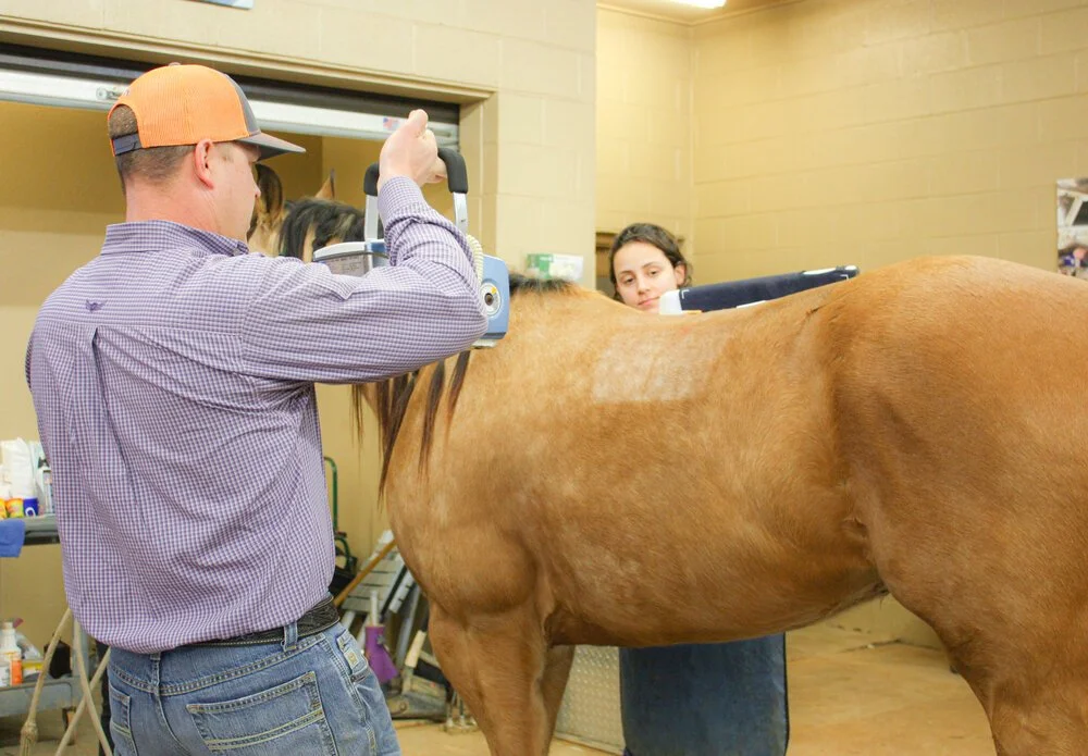 OE Clinic & Hospital — Outlaw Equine Hospital Rehab & Center