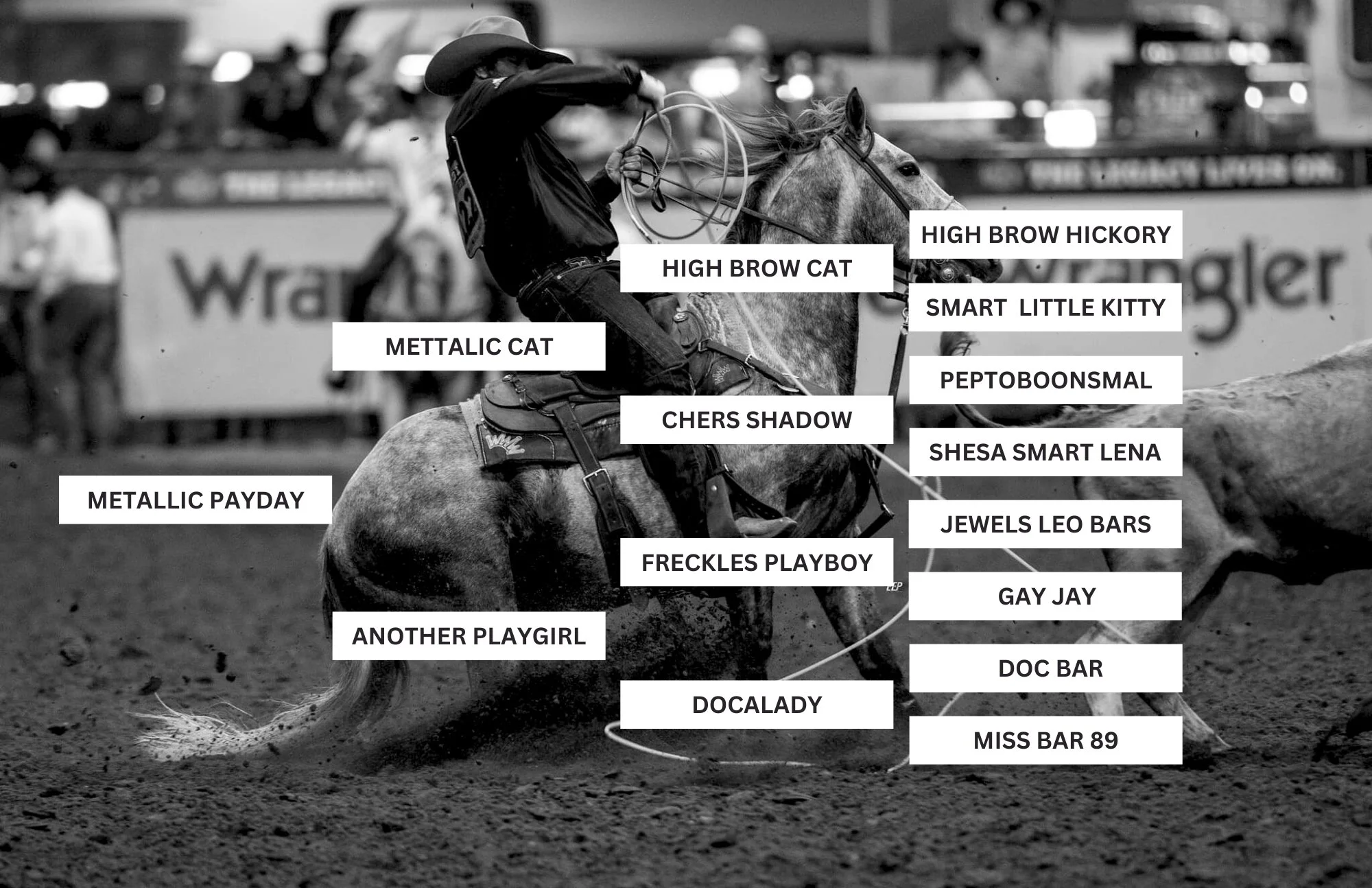 METALLIC PAYDAY — Outlaw Equine Hospital Rehab & Center