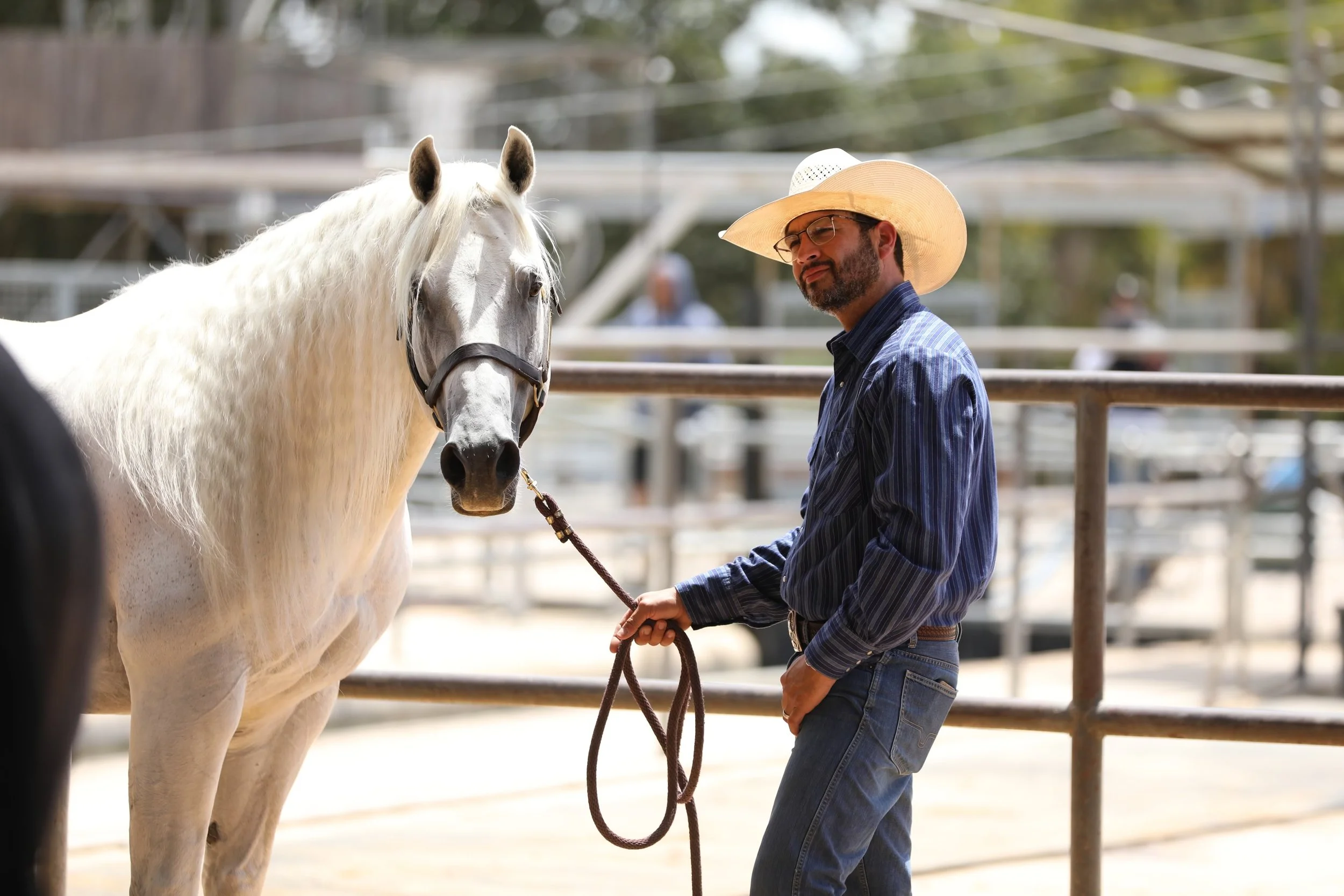 Outlaw Stallion Station — Outlaw Equine Hospital Rehab & Center