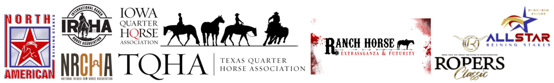 Dual Equis Stallion — Outlaw Equine Hospital Rehab & Center
