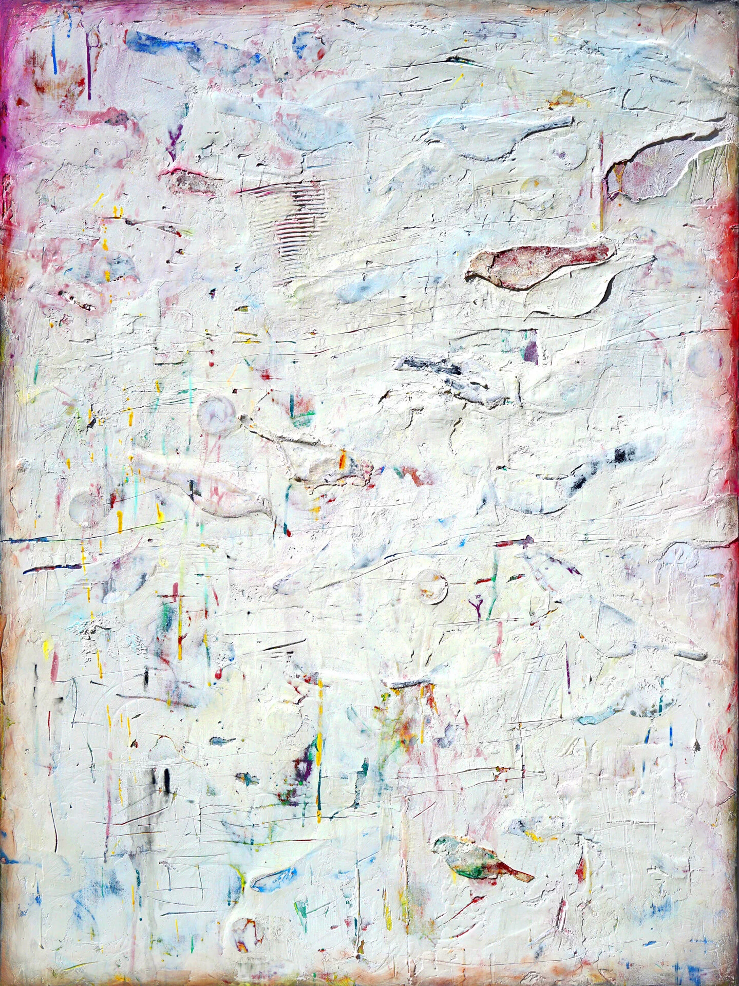 Bird Paintings — Roberta Harris