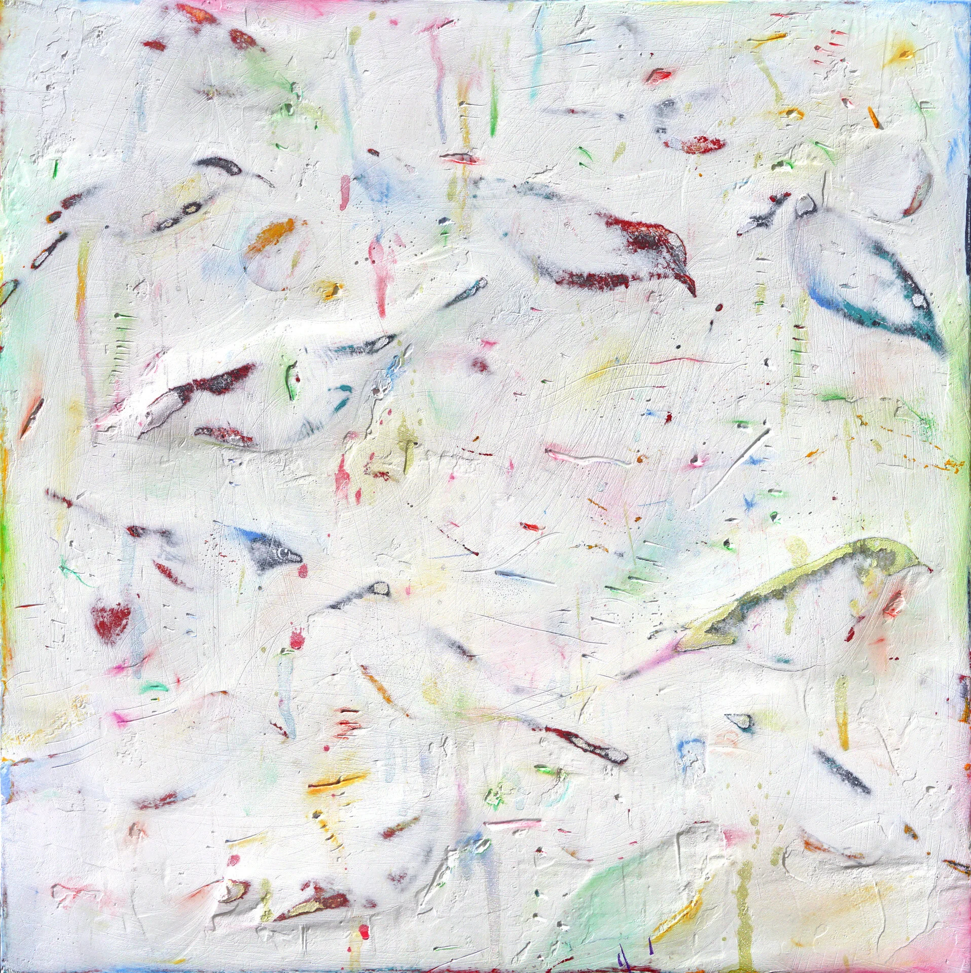 Bird Paintings — Roberta Harris