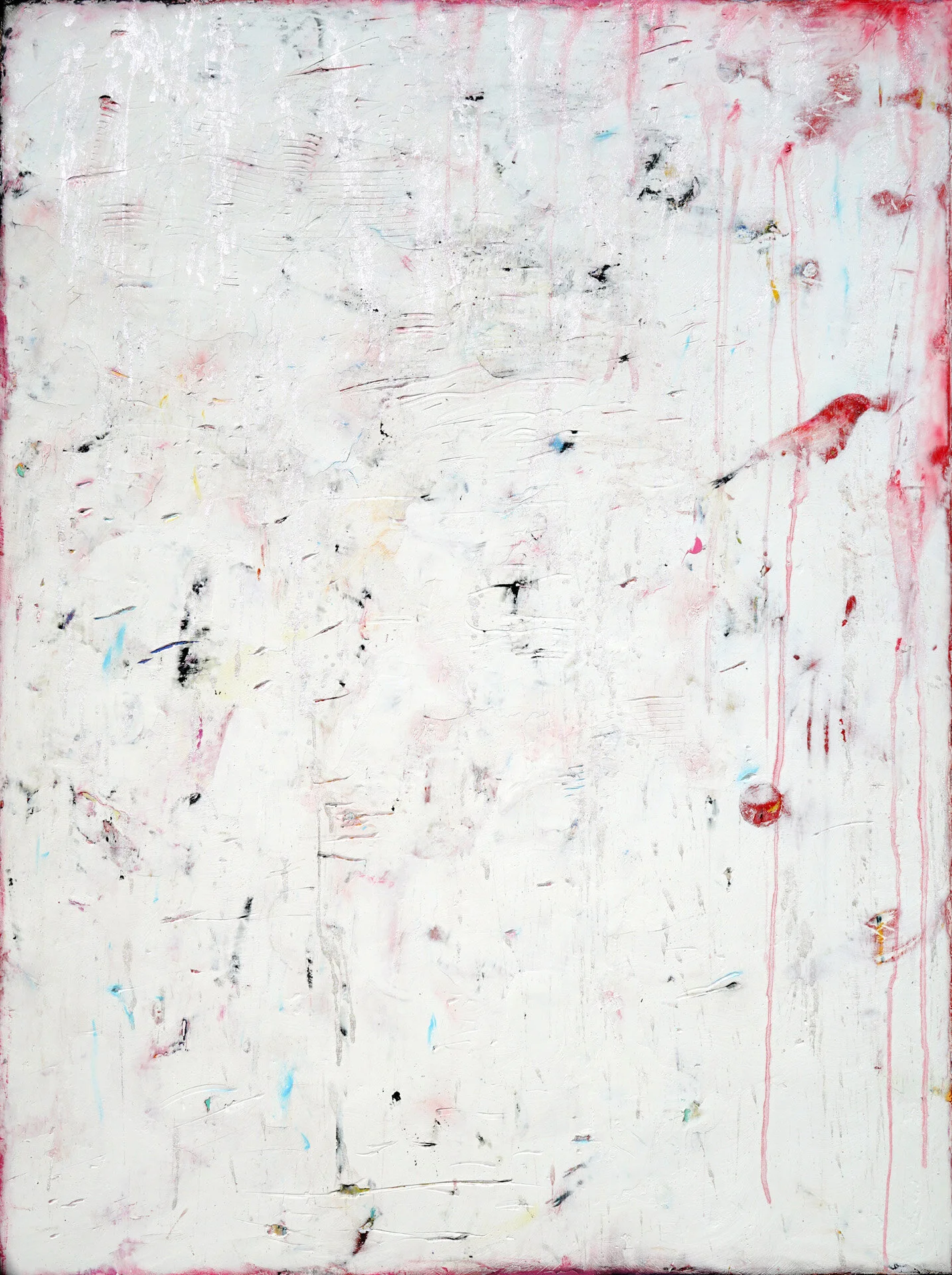 Bird Paintings — Roberta Harris