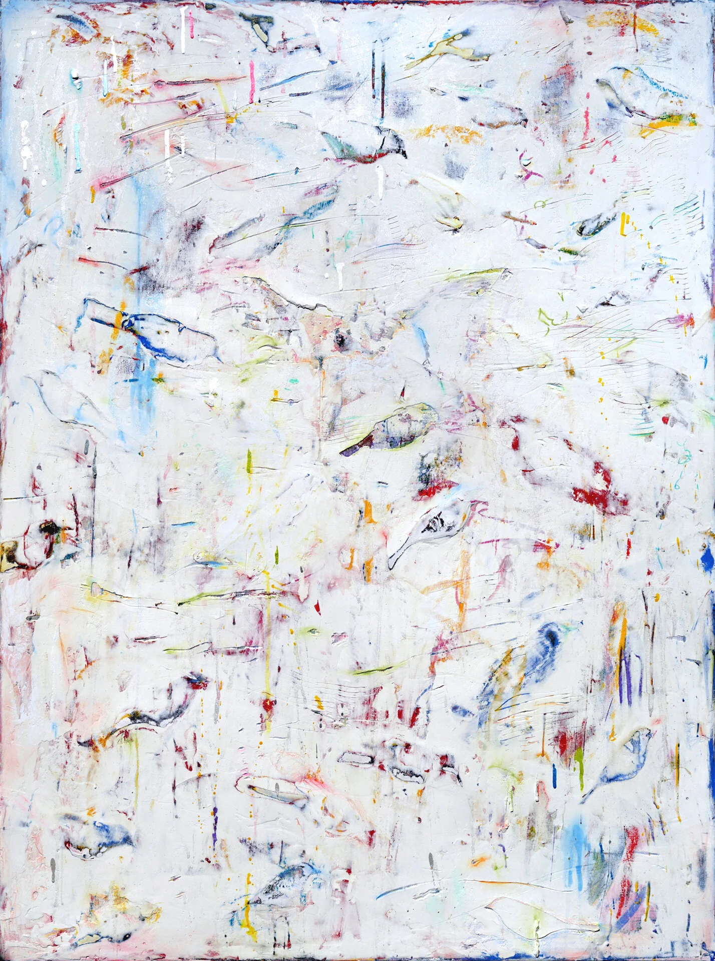 Bird Paintings — Roberta Harris