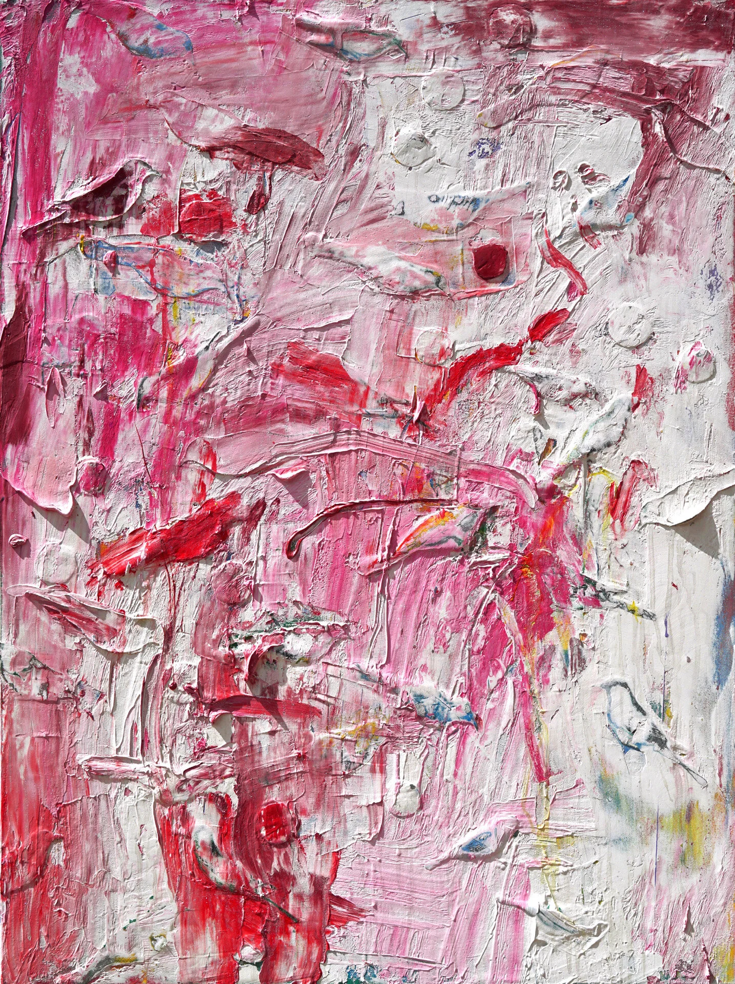 Bird Paintings — Roberta Harris