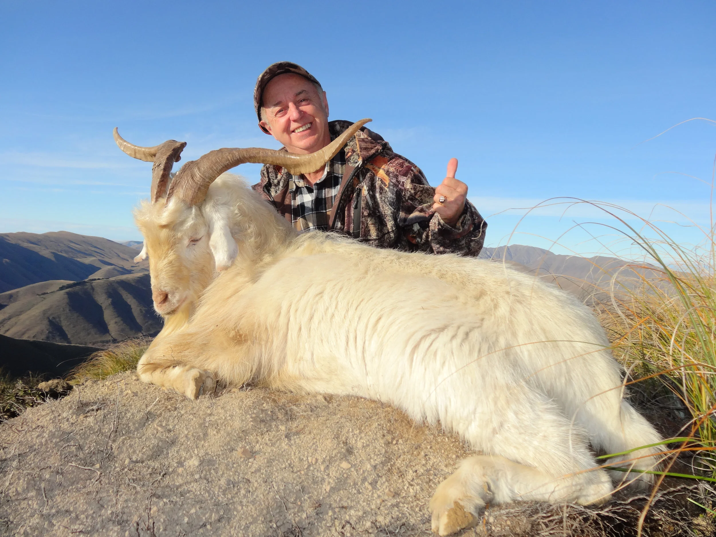 Woodbury Safari Lodge | Fraser Safaris New Zealand - Alpine Goat