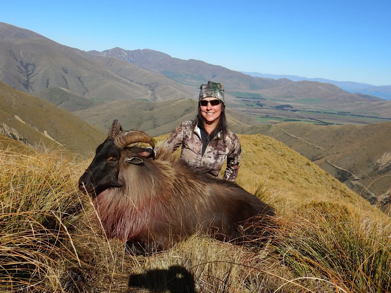 Woodbury Safari Lodge | Fraser Safaris New Zealand Red Stag - Tahr ...