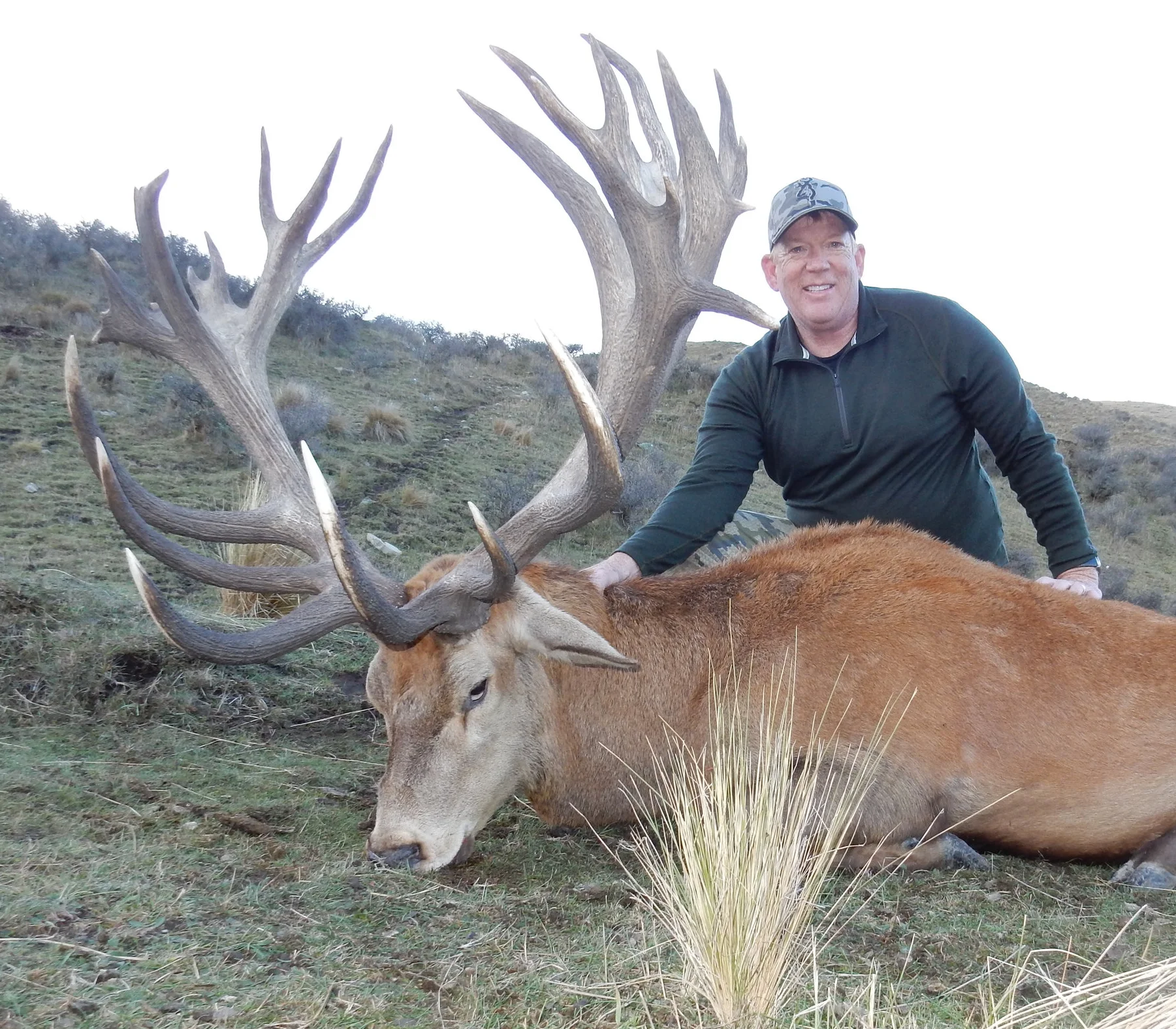 Woodbury Safari Lodge | Fraser Safaris New Zealand Red Stag - Tahr ...