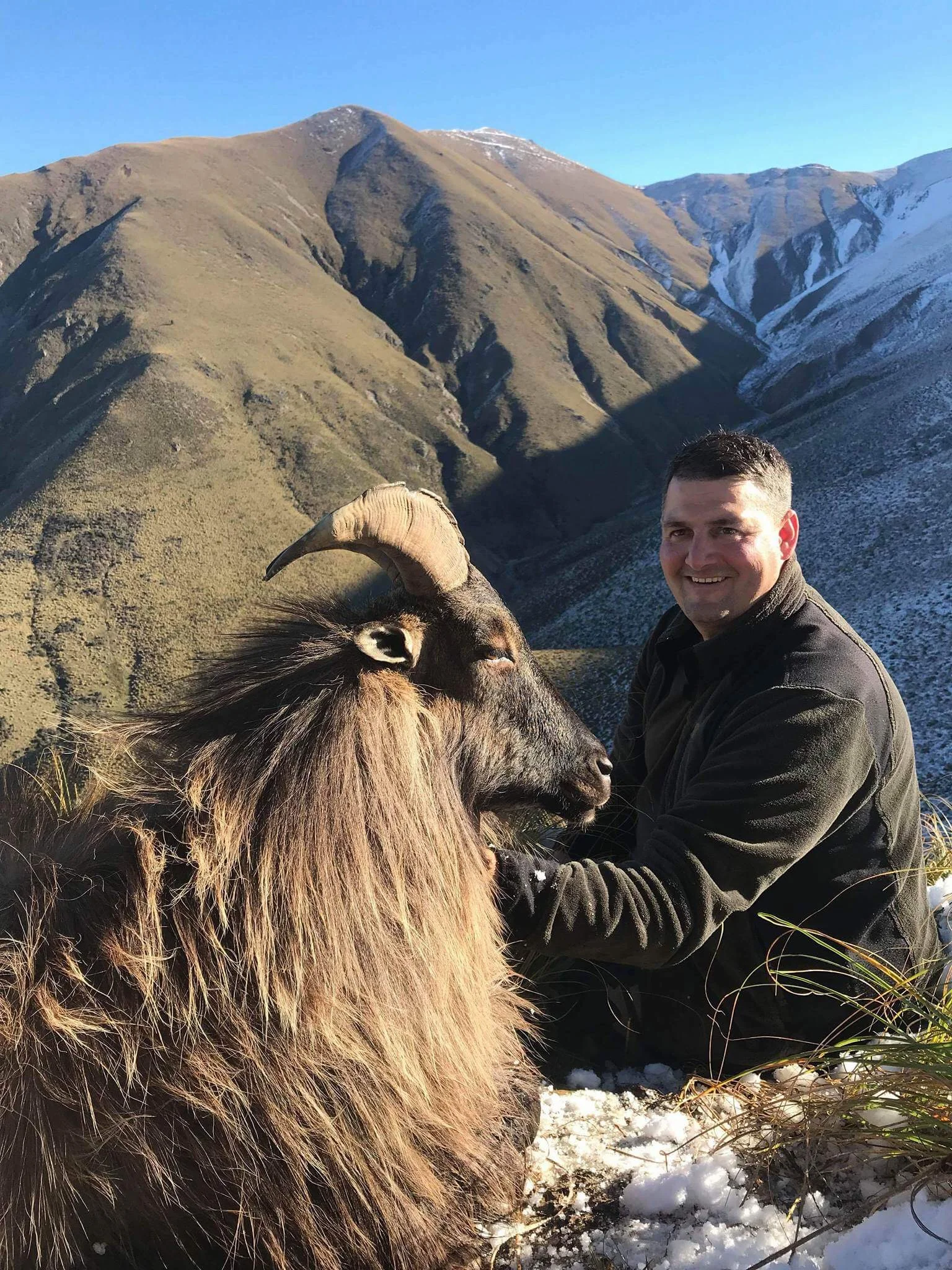 Woodbury Safari Lodge | Fraser Safaris New Zealand Red Stag - Tahr ...