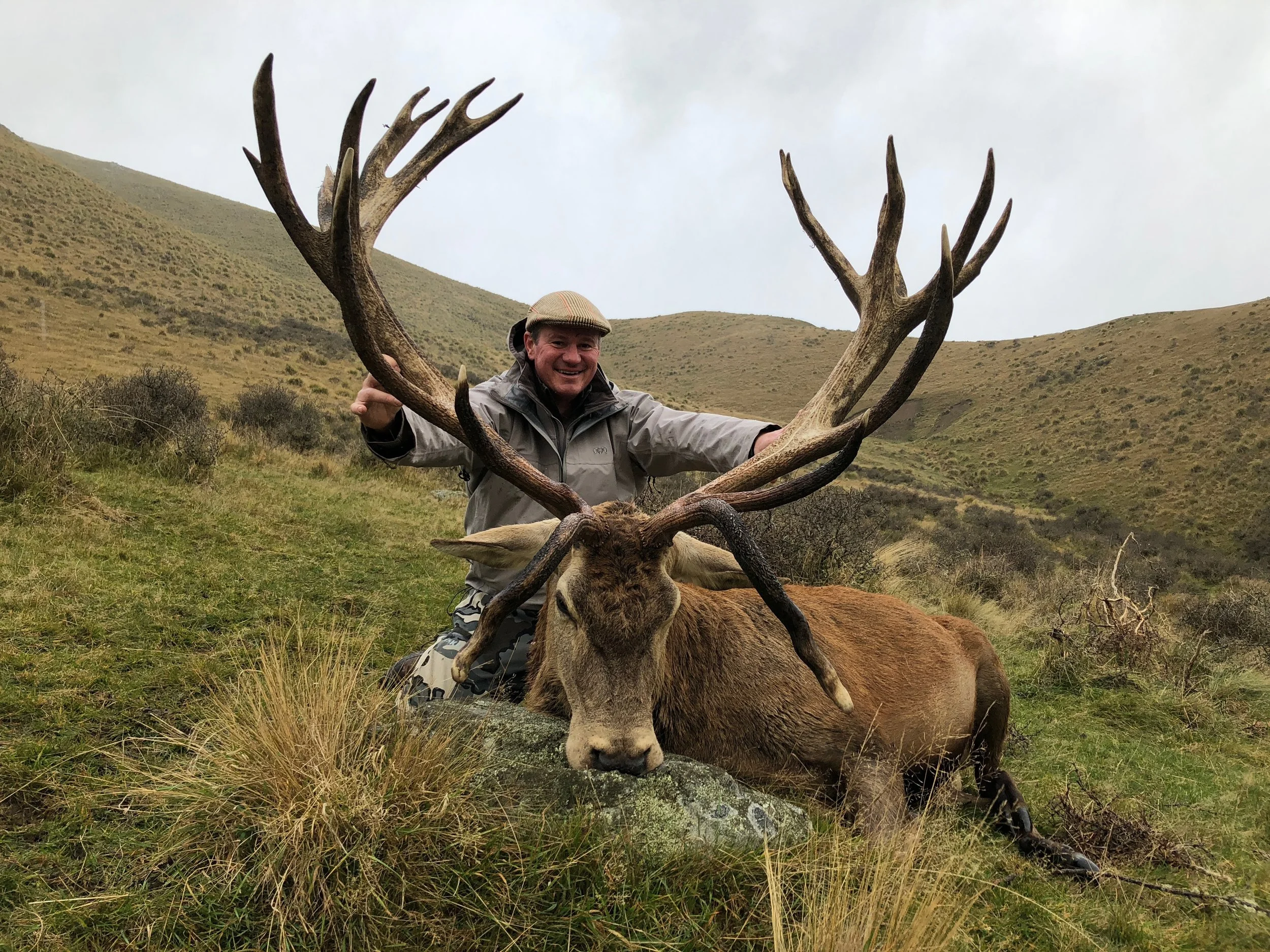 Woodbury Safari Lodge | Fraser Safaris New Zealand Red Stag - Tahr ...