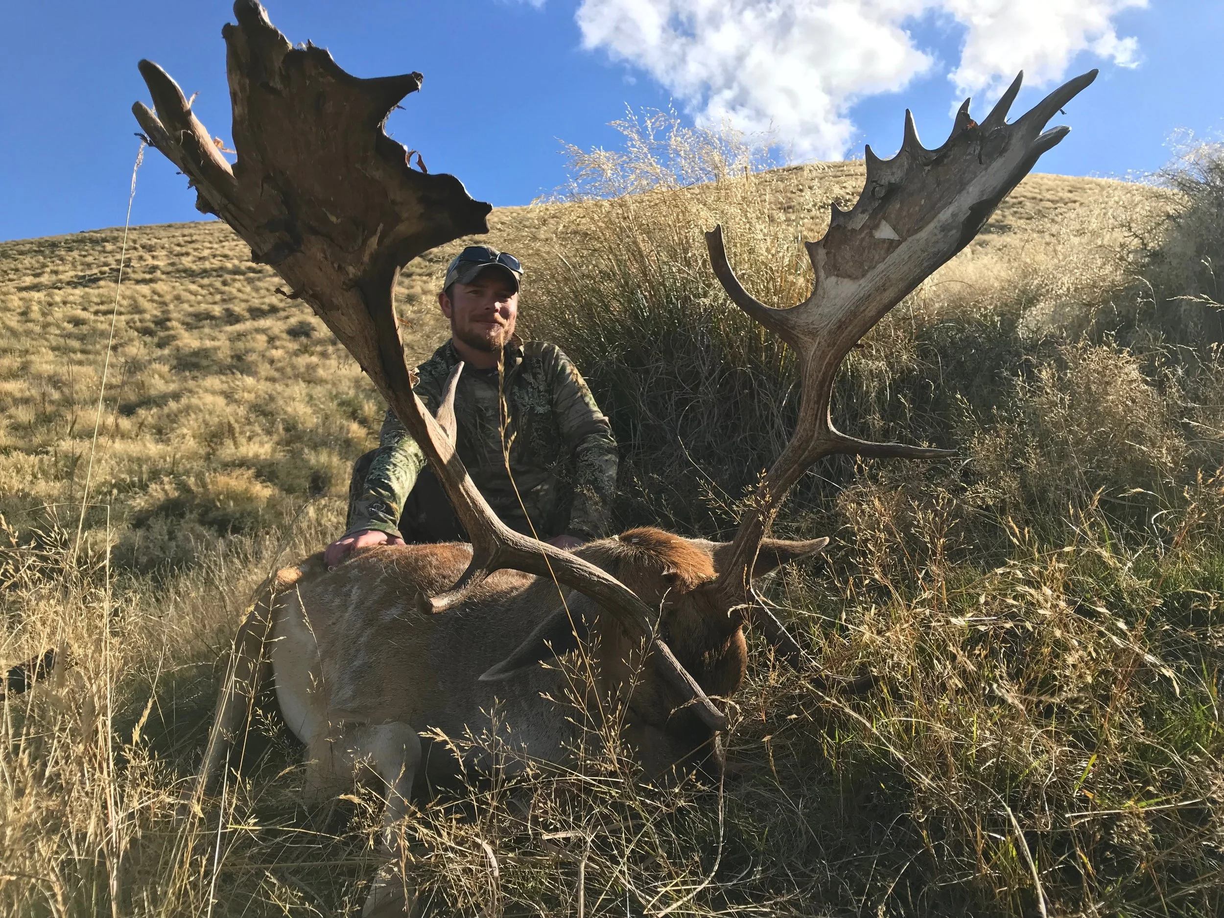 Woodbury Safari Lodge | Fraser Safaris New Zealand Red Stag - Tahr ...