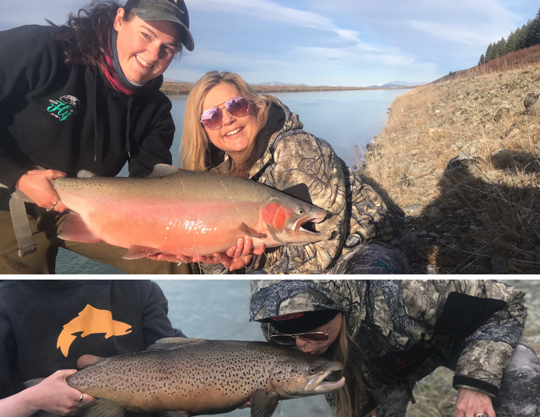 Woodbury Safari Lodge | Fraser Safaris New Zealand Red Stag - Tahr ...