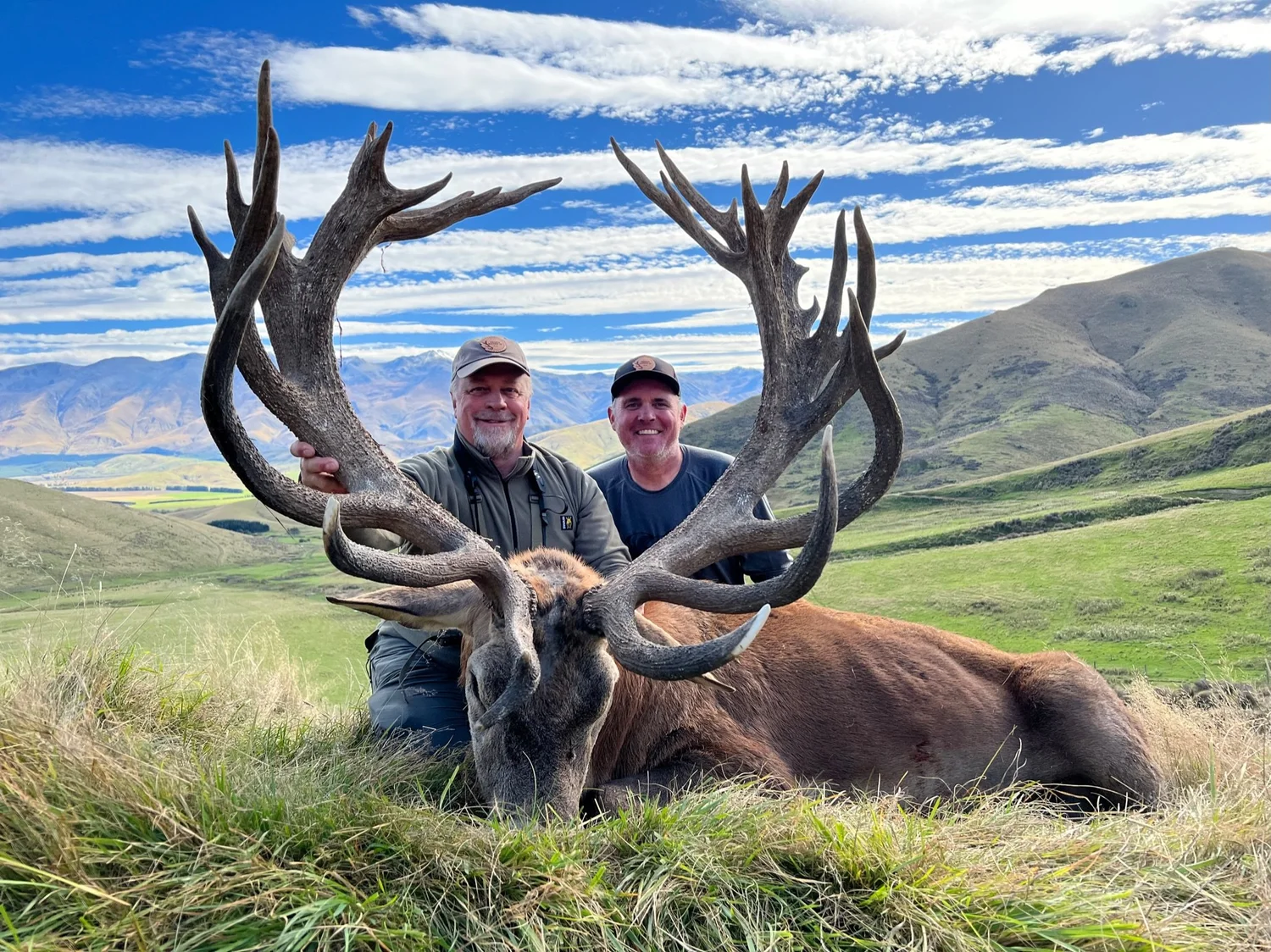 Trophy Red Stag