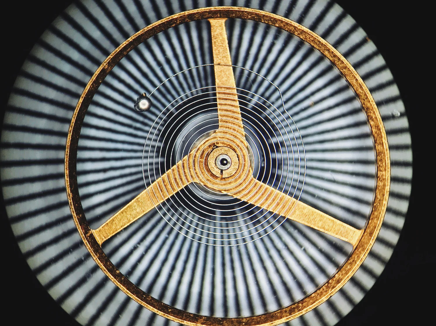 Hairspring Week: Forming the Endcurve — Nathan Bobinchak