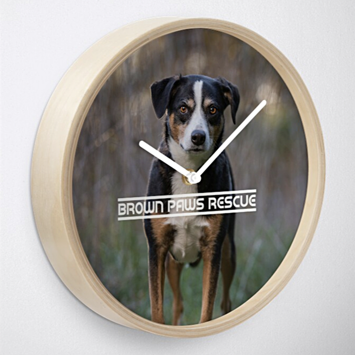 Shop — Brown Paws Rescue