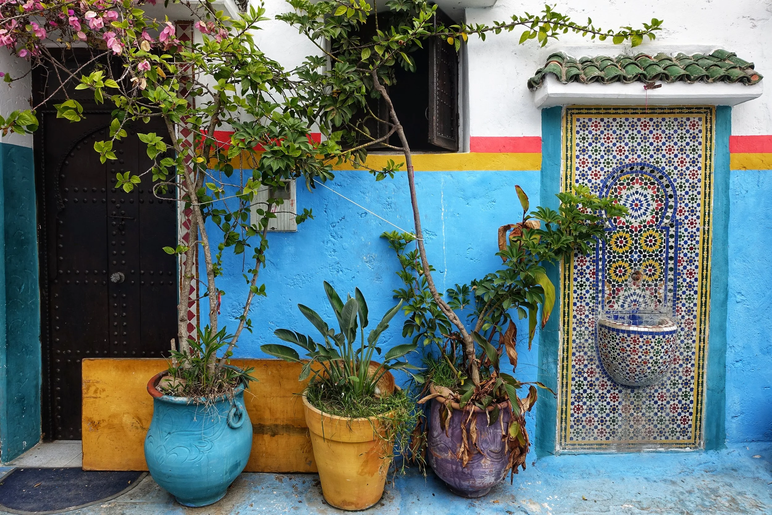 #20 (Cairo, Egypt - Tiflet, Morocco) — Simply Cycling