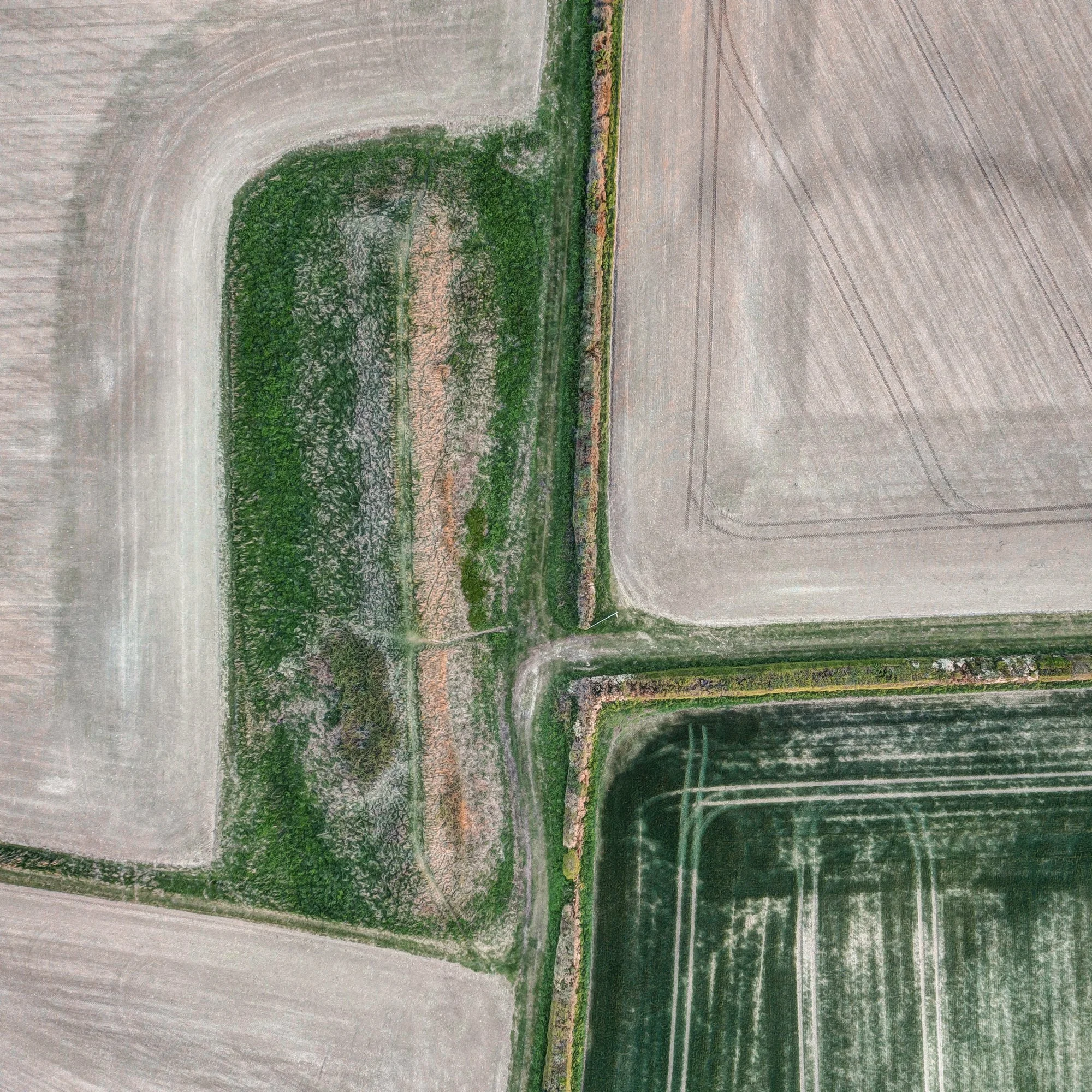 ABOUT — DAVID R ABRAM