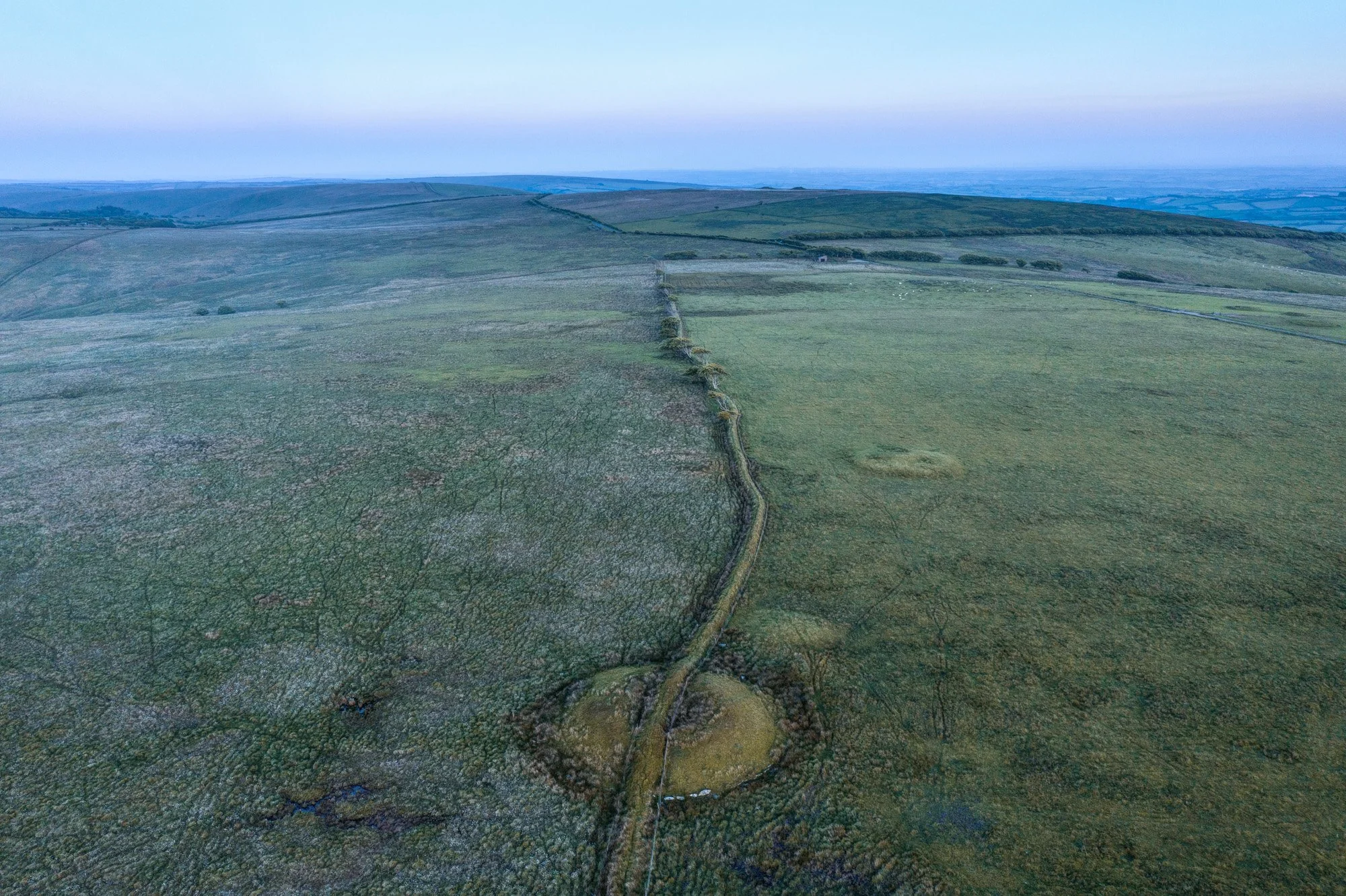 ABOUT — DAVID R ABRAM