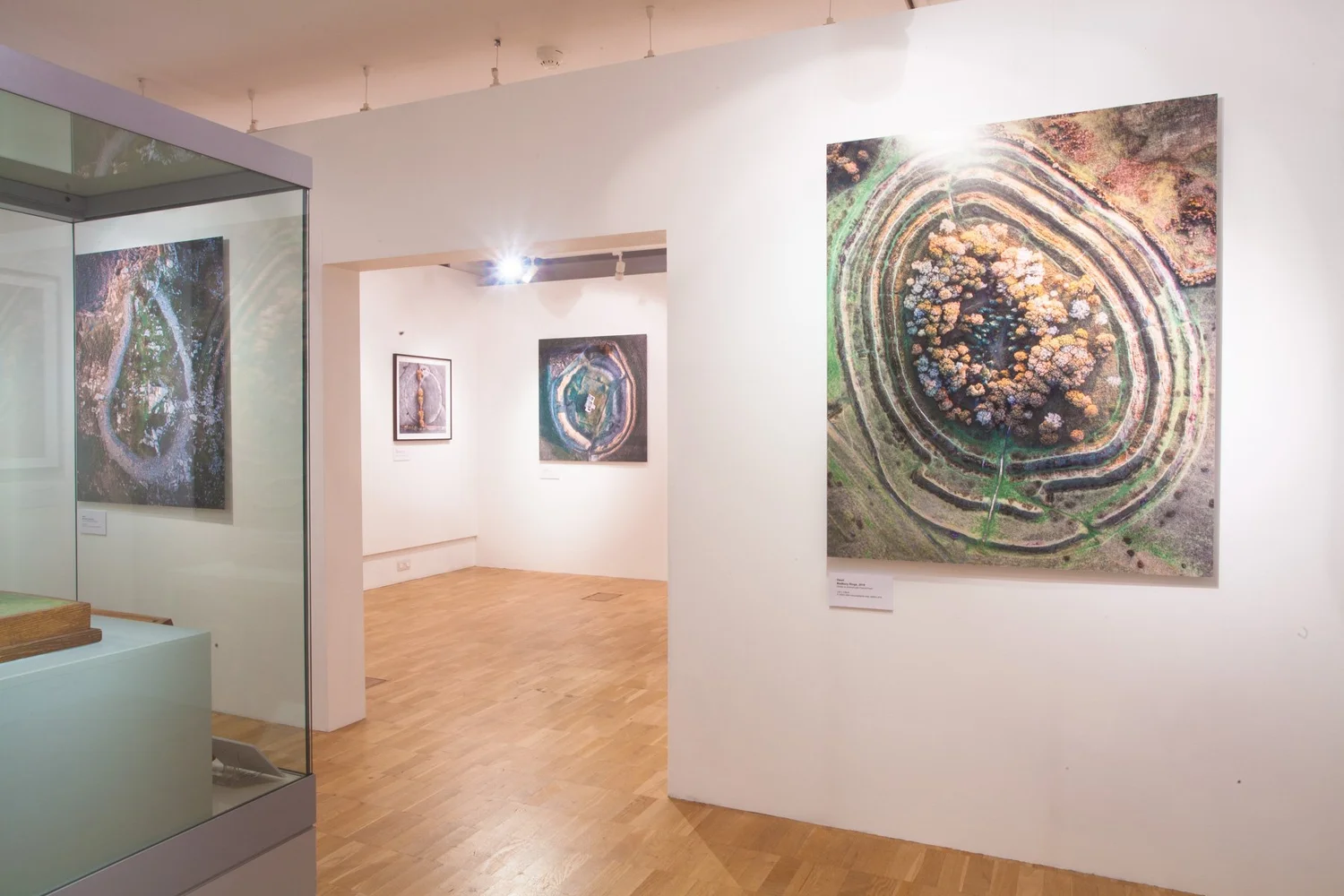 EXHIBITIONS — DAVID R ABRAM