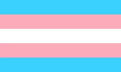 Gender Dysphoria Discrimination — The ADA Project
