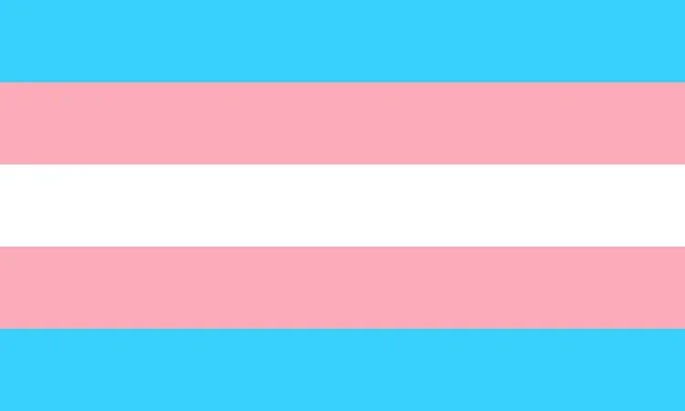 Gender Dysphoria Discrimination — The ADA Project