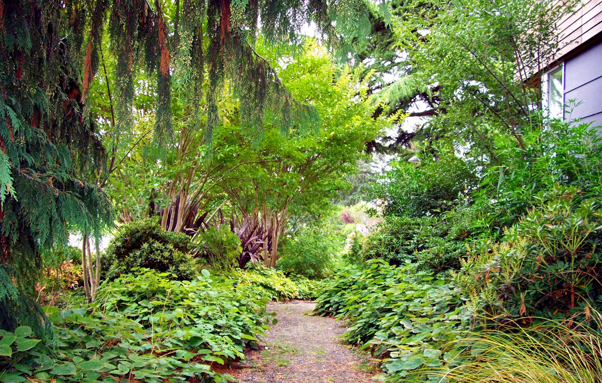 Kaleidoscope Inc. Landscape Professionals