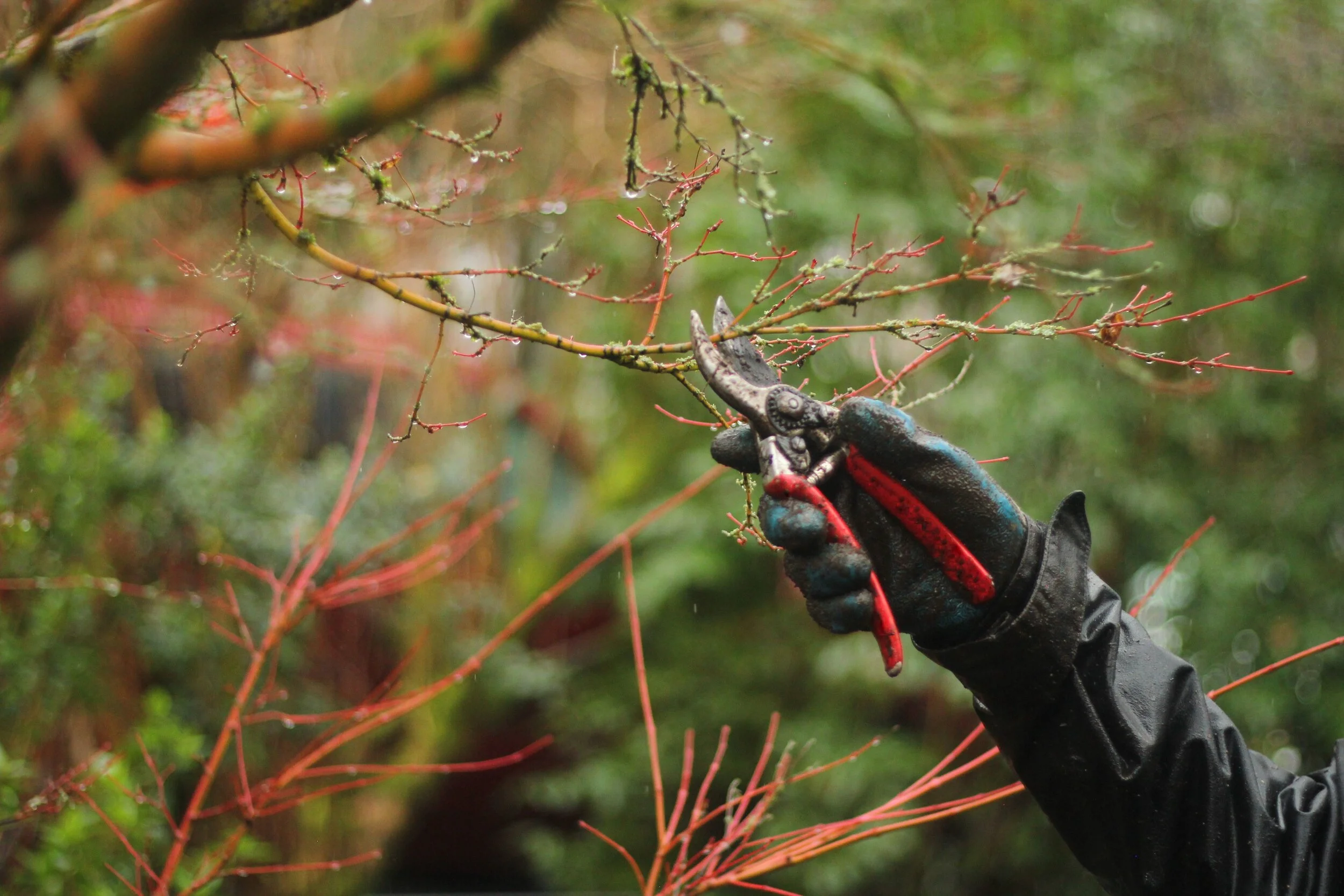 Our Services — Kaleidoscope Inc. Landscape Professionals