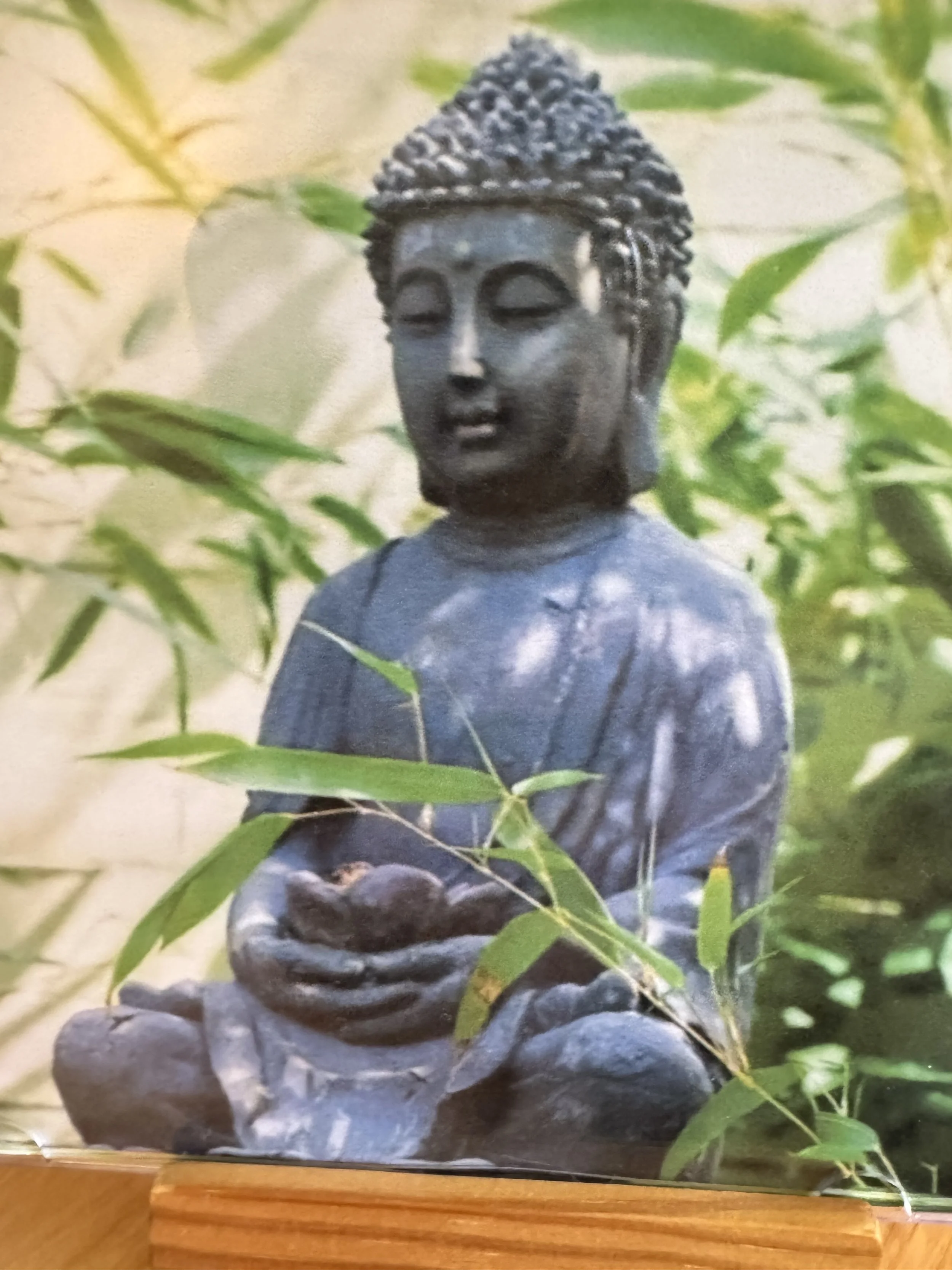 Ritual Health Acupuncture Clinic & Community