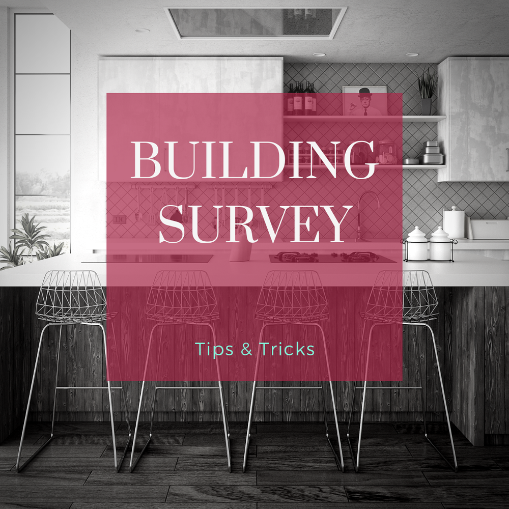 Must Have Tools for Existing Conditions Surveys — THE STUDENT ARCHITECT