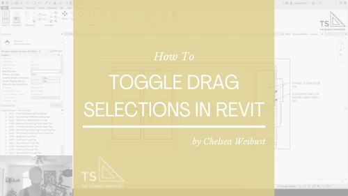 Toggle Drag Selections On/Off in Revit — THE STUDENT ARCHITECT