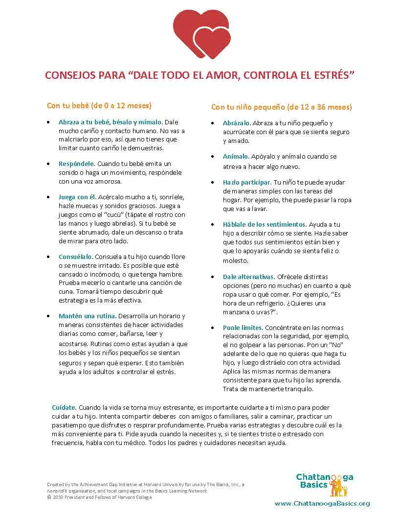 SPANISH — Chattanooga Basics