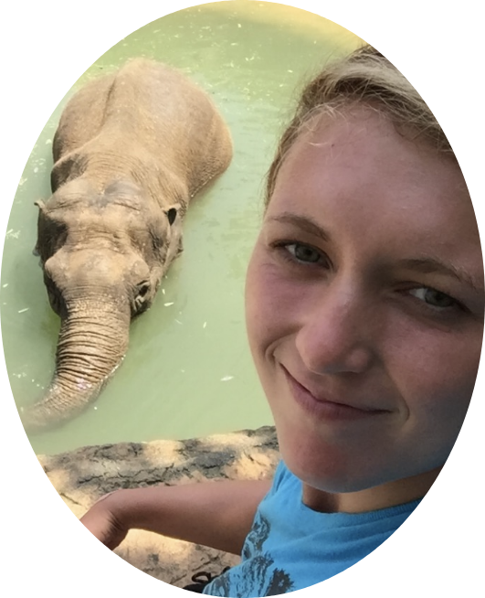 Denver Pro Pet Sitting | Denver's Premier Pet Sitting, Dog Walking ...