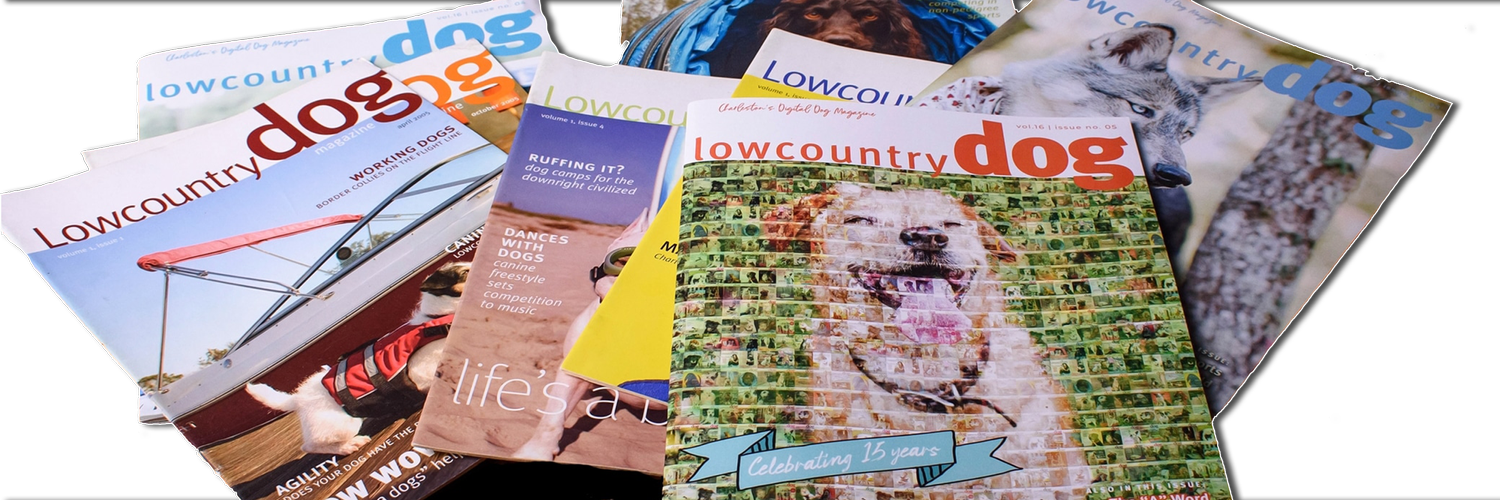 Lowcountry Dog
