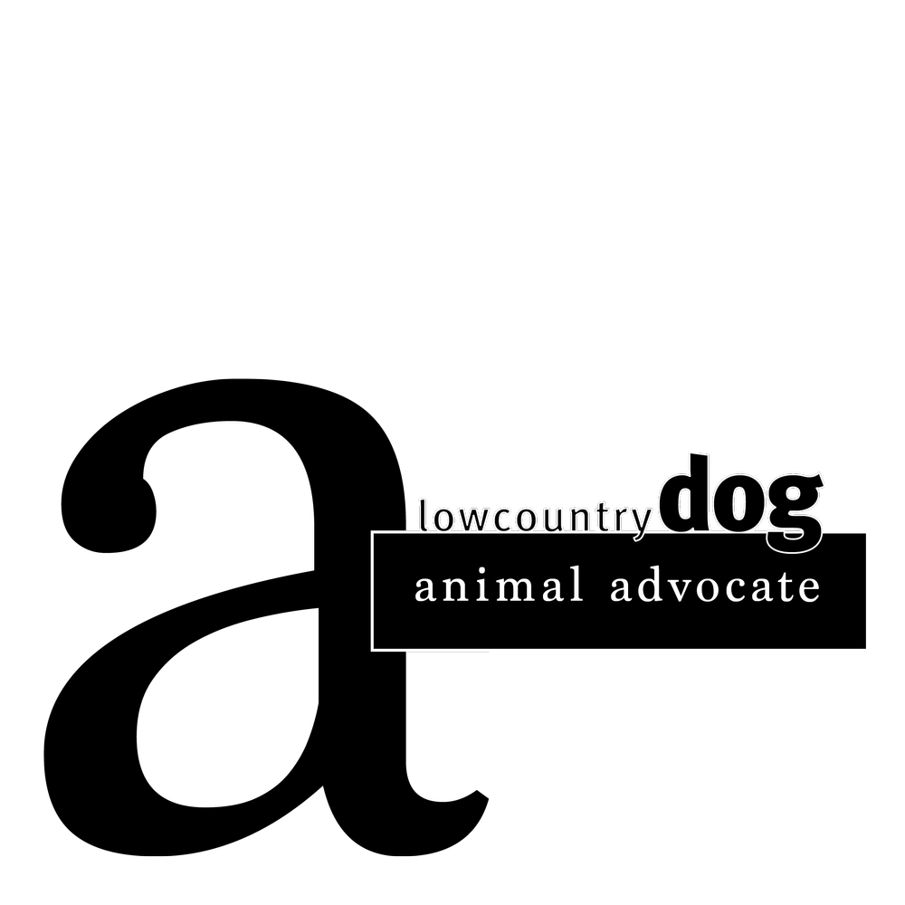 Animal Advocate — Lowcountry Dog