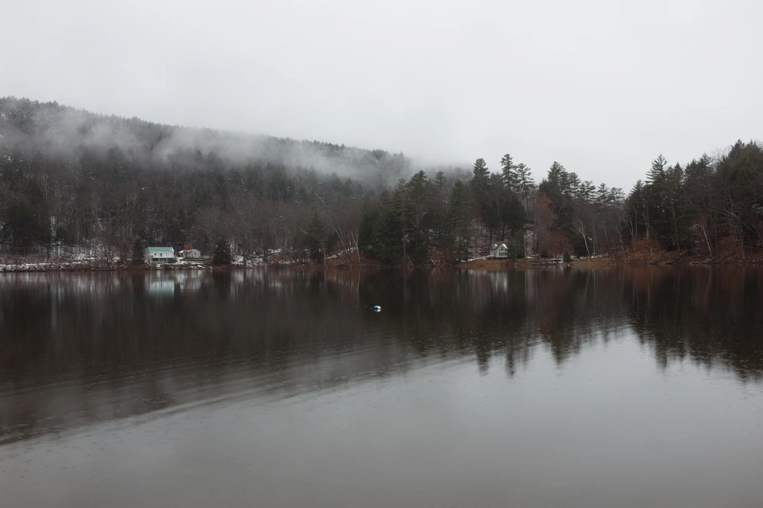 Brooklyn Wedding Photographer - Bailey Quinlan