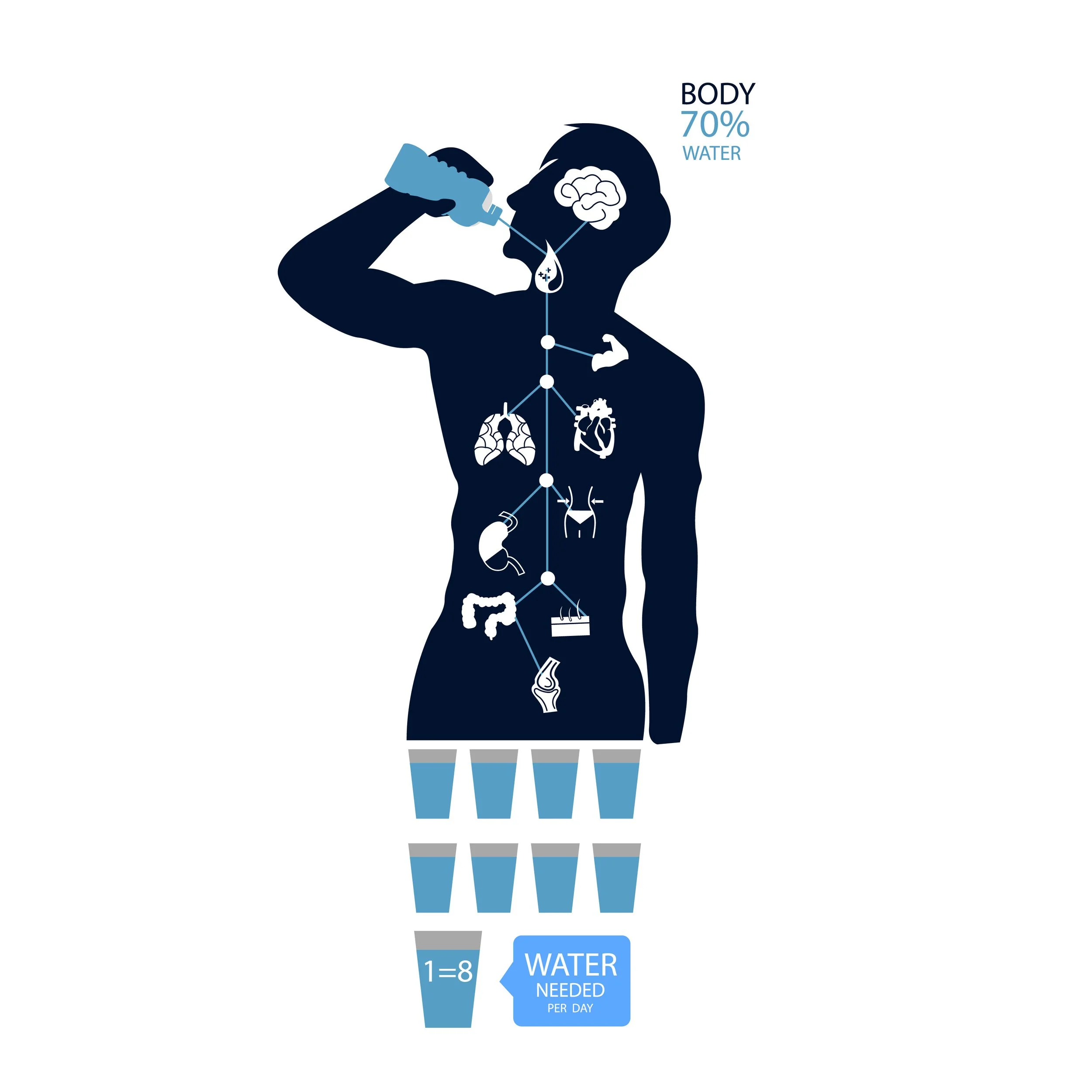 Why Summer Hydration is Important — Core Potentials - Osteopathy ...