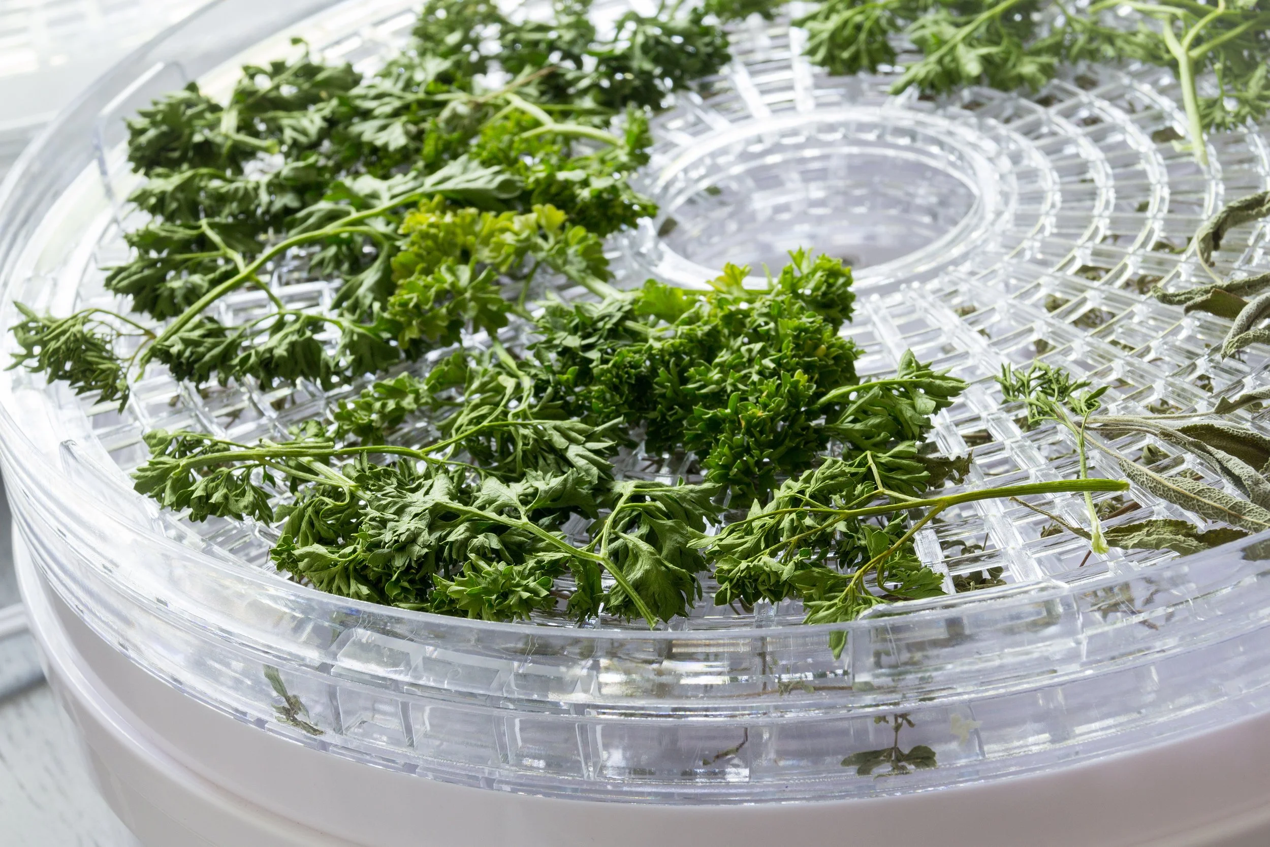 Easy Ways to Preserve Herbs — Core Potentials - Osteopathy, Energy ...