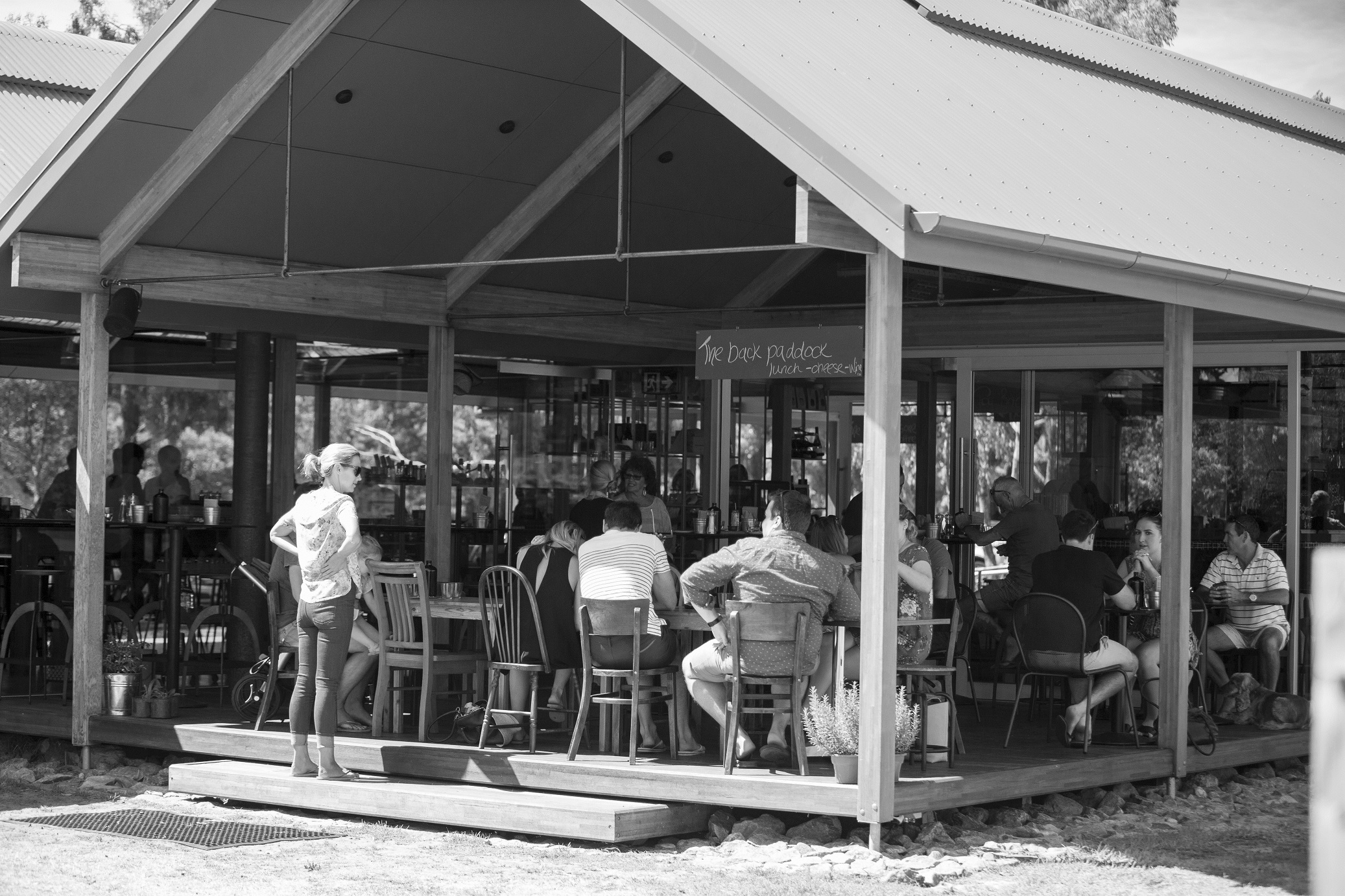 Gallery — Barnyard1978