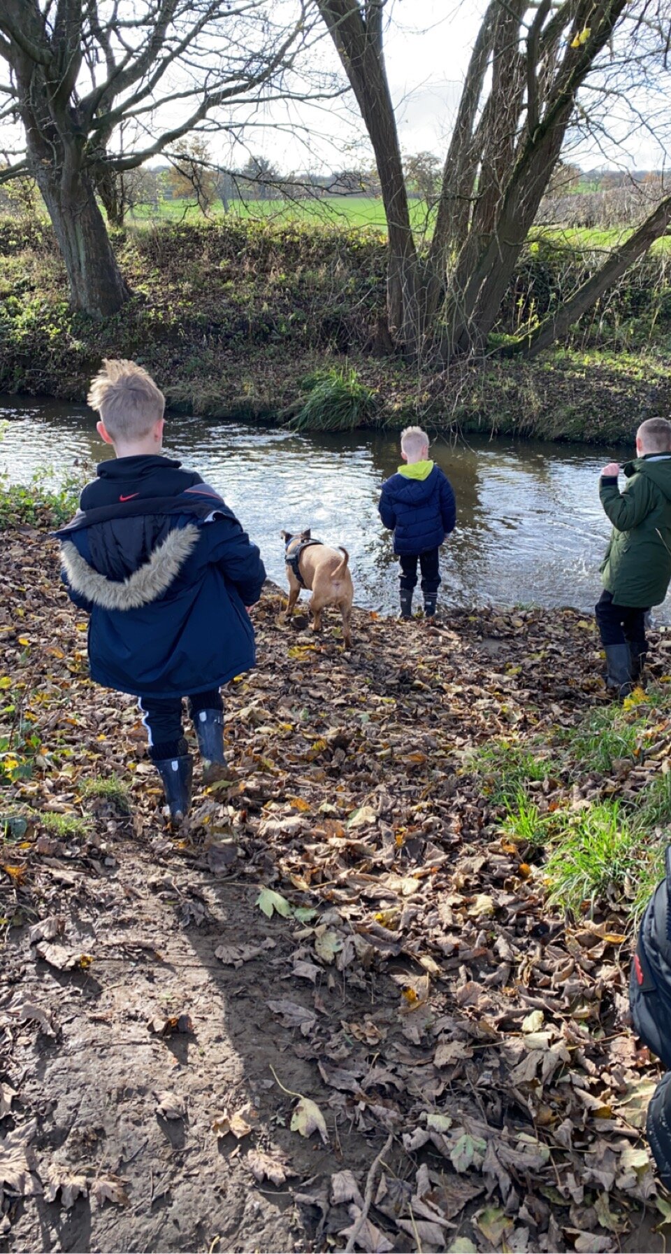 Children in Need Ramble 2020 — White Laith Primary School