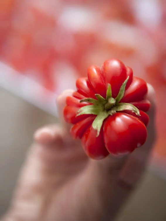 Stavros Kostakis Official page