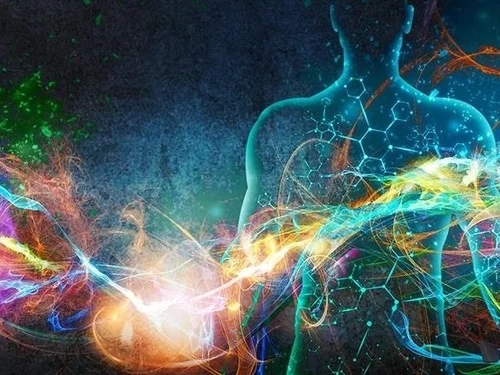 Reiki + Emotion Body Code — Diana Ralys Skin Health