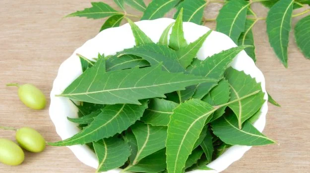 Neem oil- unpleasant smell, but works like magic! — Diana Ralys Skin Health