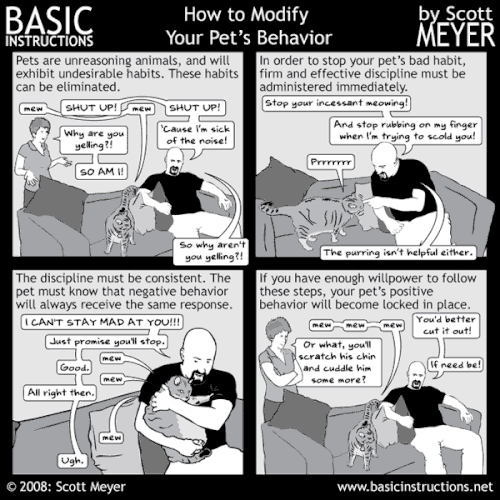 How to Modify a Pet's Behavior — Basic Instructions