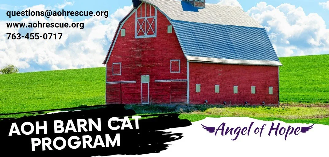 Barn Cat Program — Angel of Hope Animal Rescue
