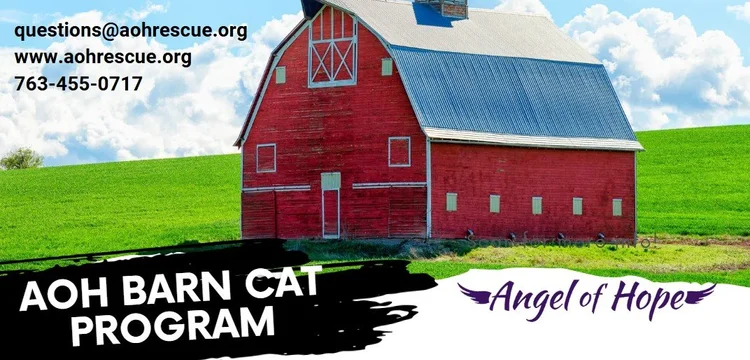 Barn Cat Program — Angel of Hope Animal Rescue
