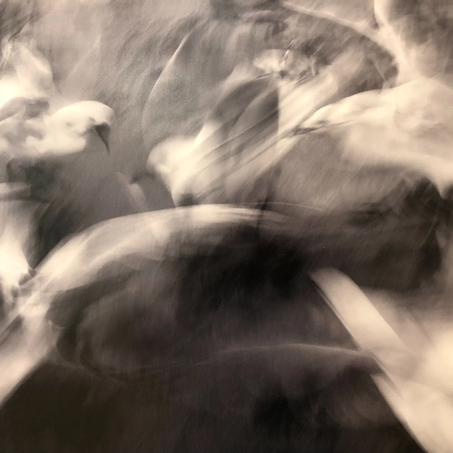 Exhibitions — Murray Bridge Regional Gallery